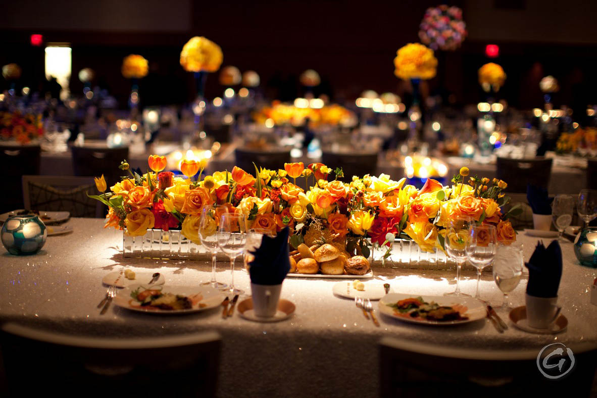 Social Events - Avant-Garde Studio