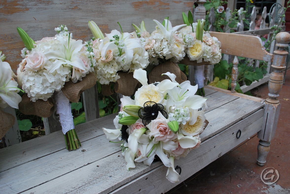 Design - Avant-Garde Studio