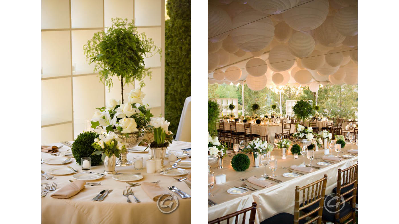 Weddings - Avant-Garde Studio