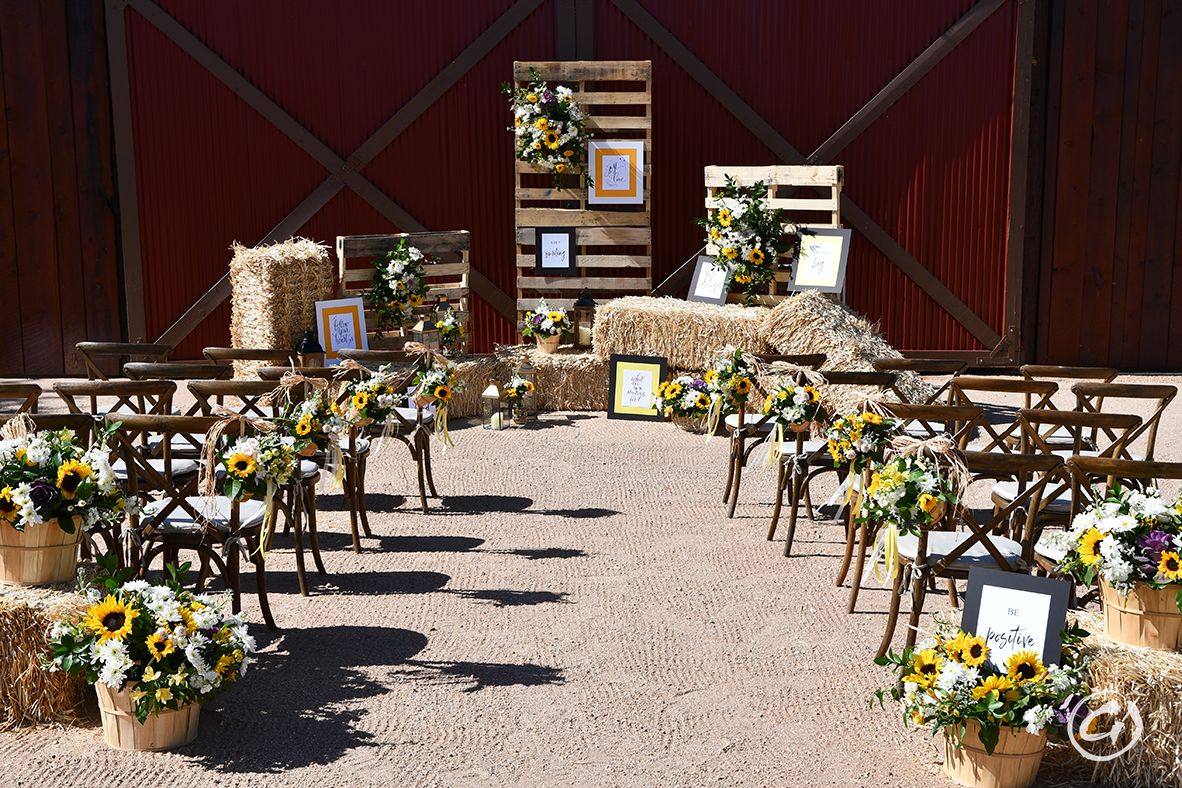 Weddings - Avant-Garde Studio