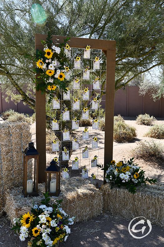 Weddings - Avant-Garde Studio